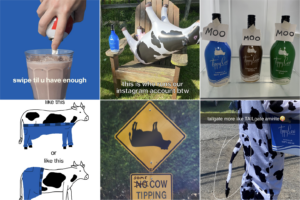 Tippy Cow Rum Cream | Made with Real Wisconsin Cream